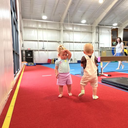 Tennessee Elite Gymnastics – Classes For All Ages